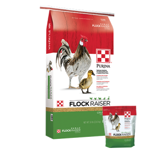 Purina Flock Raiser Crumbles - Arcola Feed