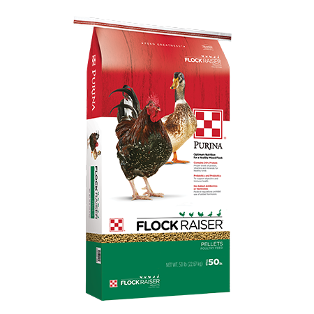 Purina Flock Raiser Pellets - Arcola Feed - 281-431-1014