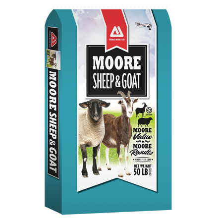Thomas Moore Sheep & Goat 16 DQ - Arcola Feed