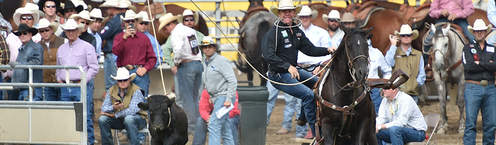 Arcola Feed Carries Ropes! - Arcola Feed - The Feed Scoop