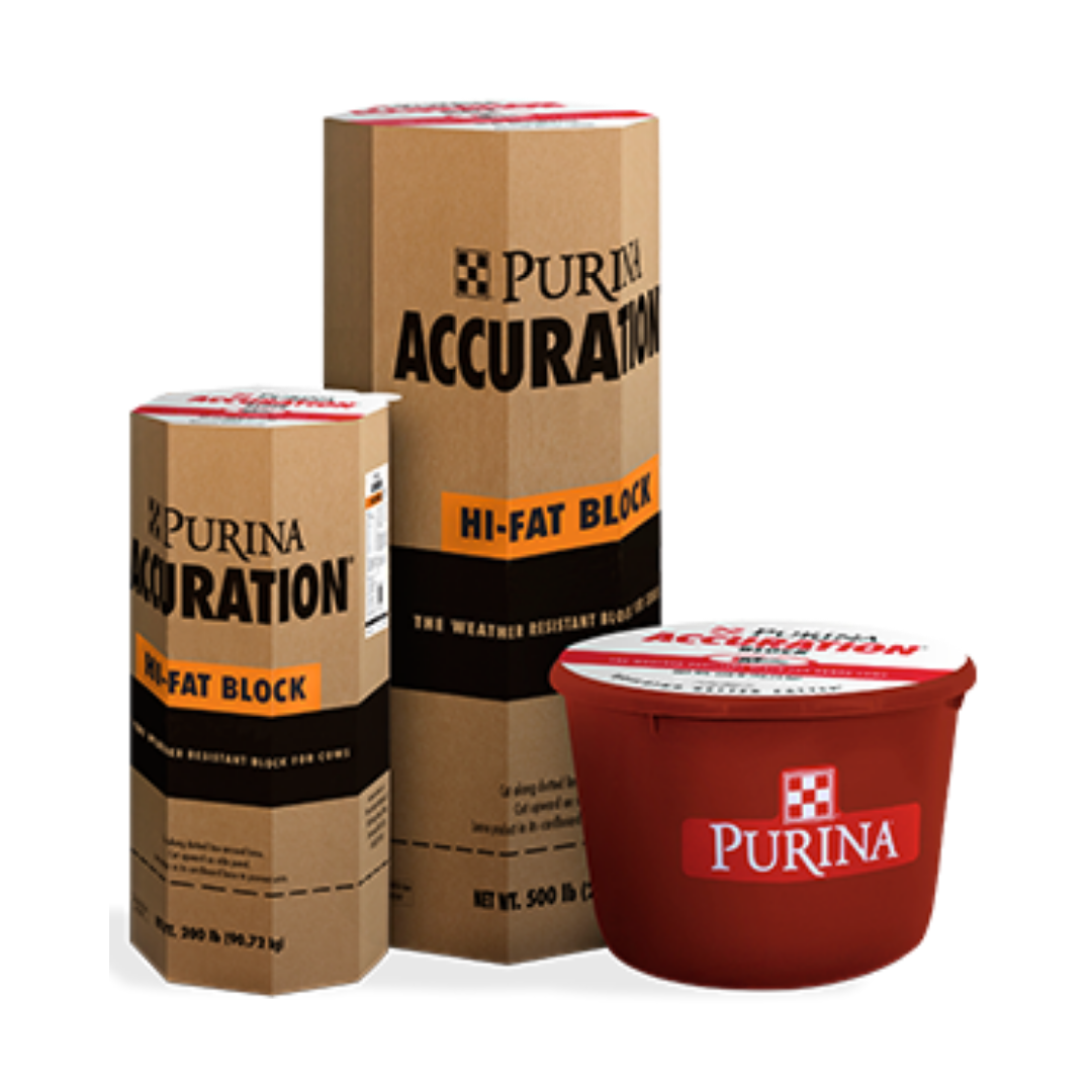 Purina Accuration Hi Fat Blocks - Arcola Feed