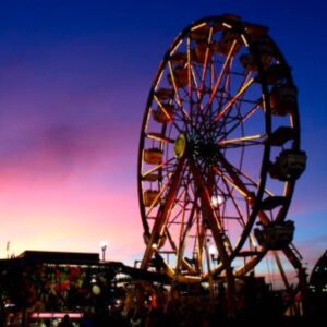 Get Ready for The Fort Bend County Fair - Arcola Feed