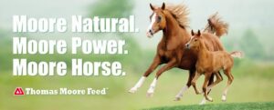 New Horse Feed: Thomas Moore Complete Nuggets - Arcola Feed