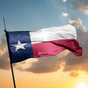 What’s Happening in Texas this August - Arcola Feed